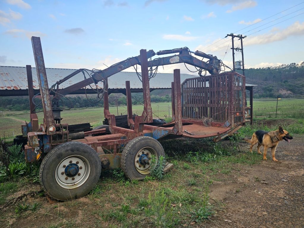 10 Ton Timber Trailer With Crane - Butch Pike Sales